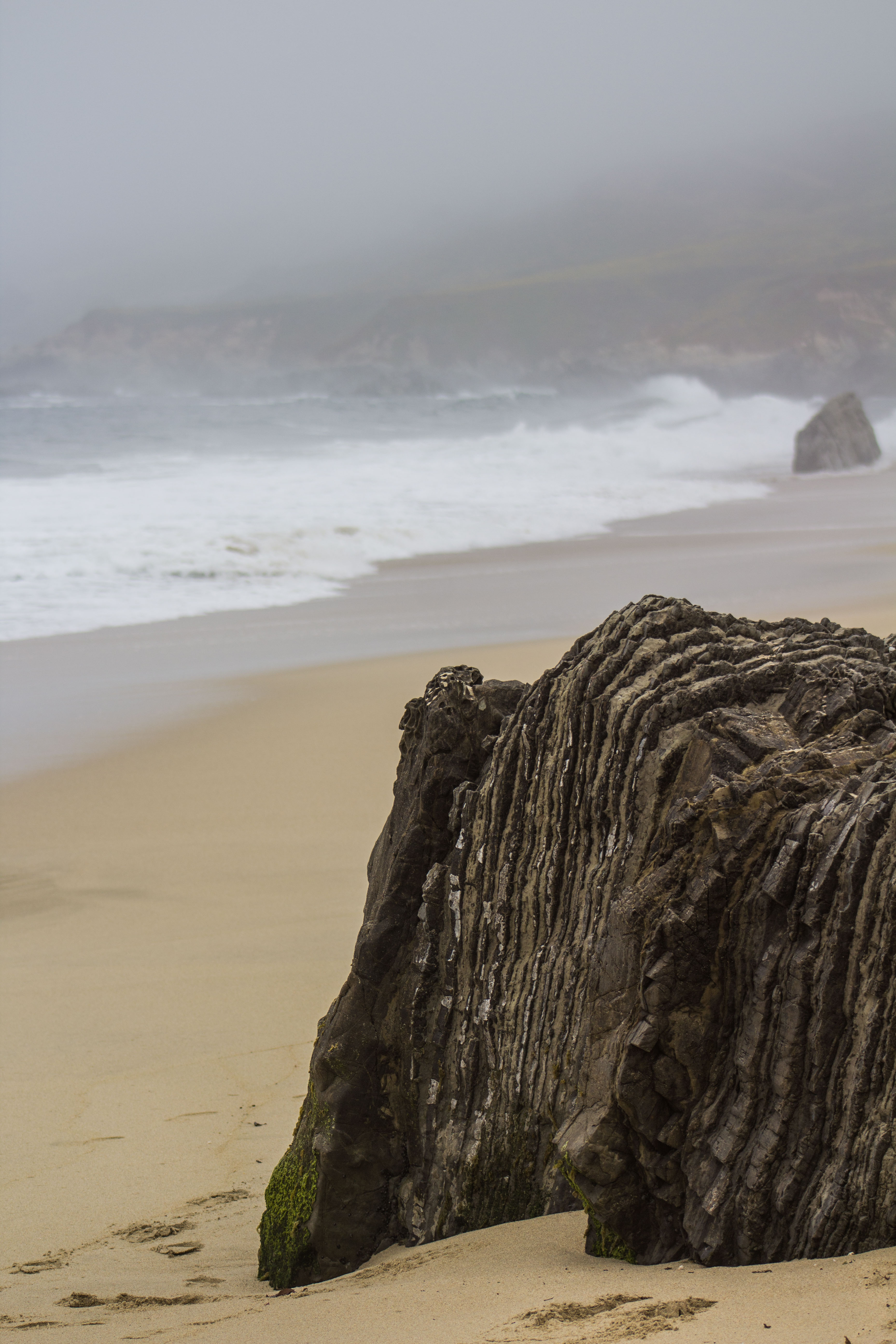 Visit the Beach and Bluffs at Garrapata; With a Name Like “Tick State ...