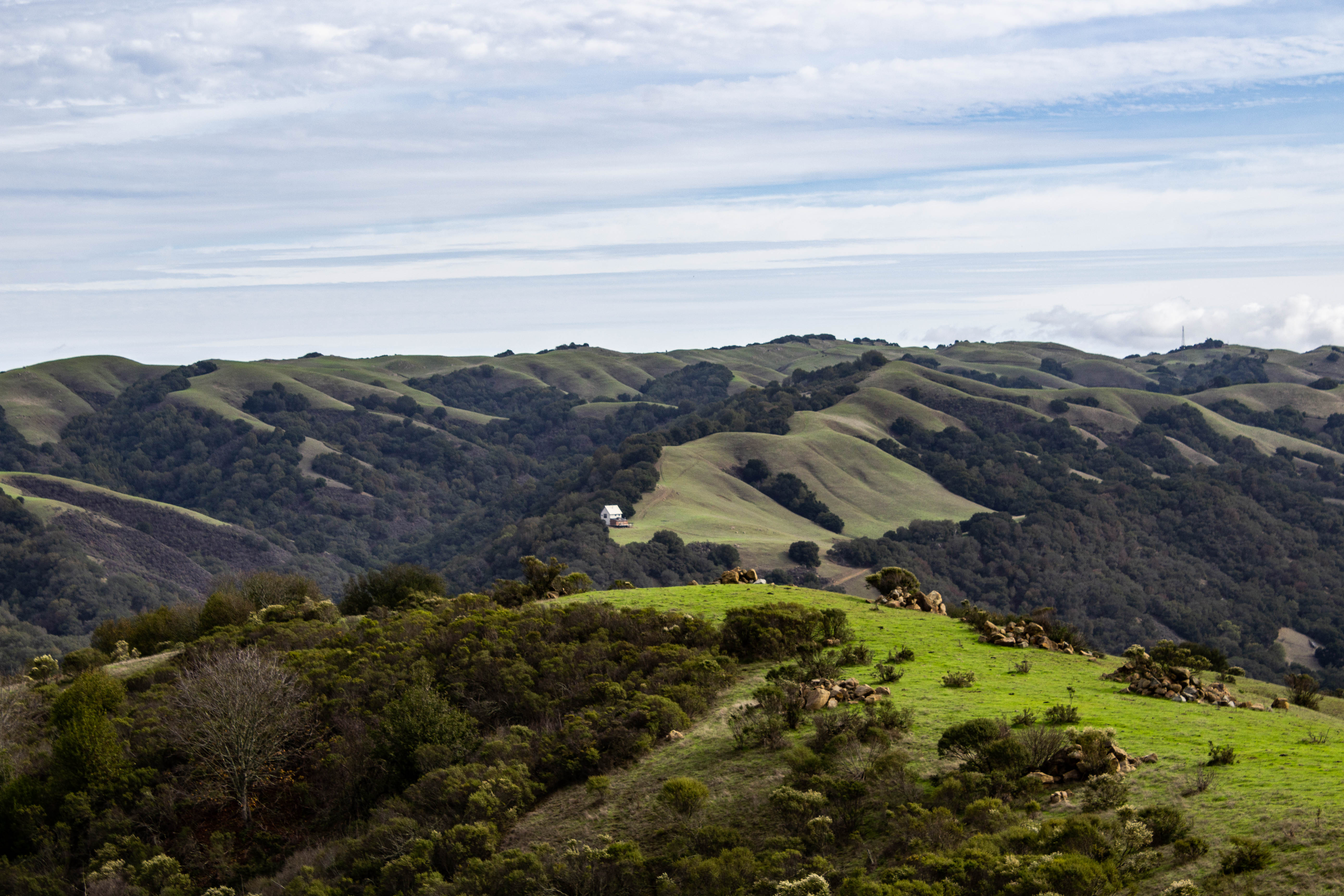 Rain Greens Up the Ridge Trail at Garin Regional Park - Coastside Slacking