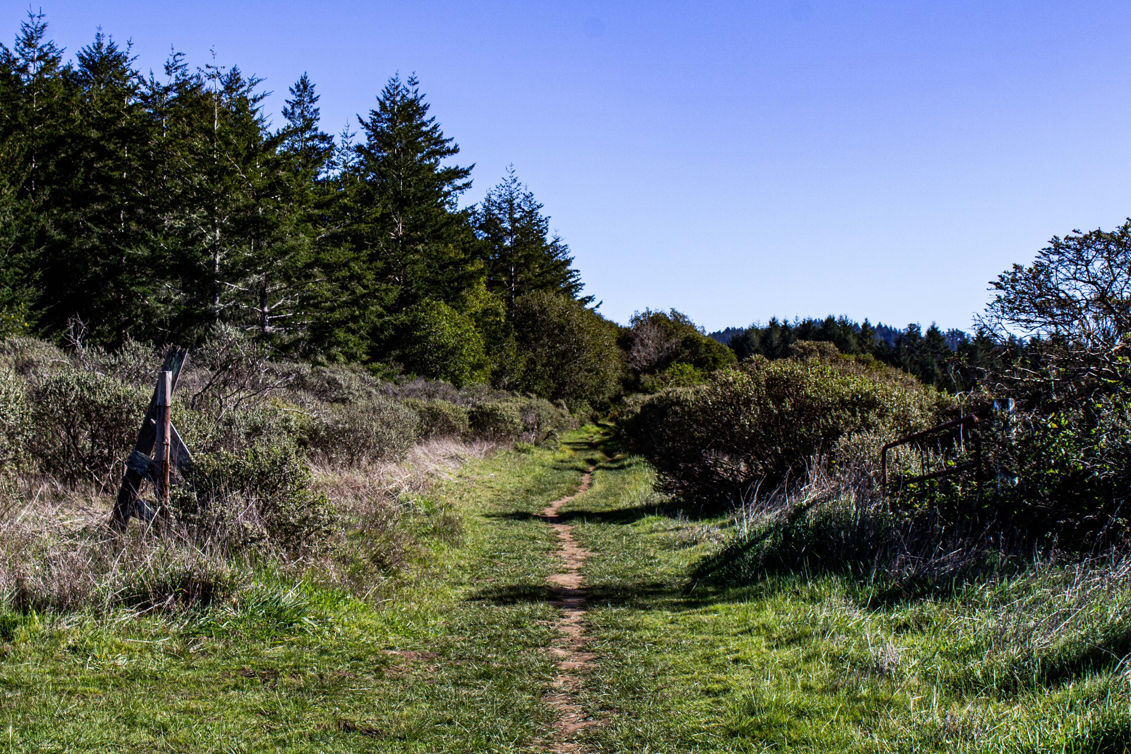 Atop Bolinas Ridge on the Bay Area Ridge Trail - Coastside Slacking