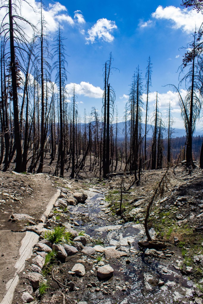 Hiking the Dixie Fire Scar at Lassen National Park - Coastside Slacking