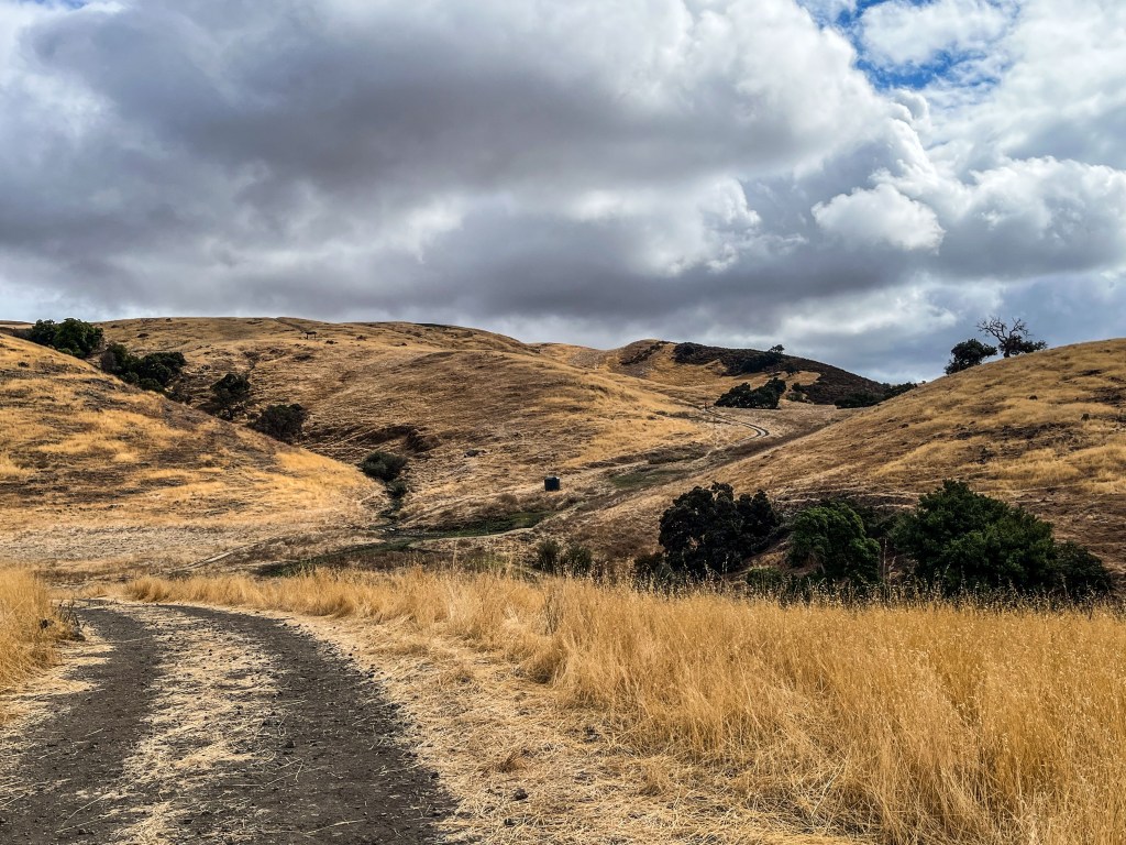 Bay Area Ridge Trail Grows at Máyyan ‘Ooyákma - Coastside Slacking